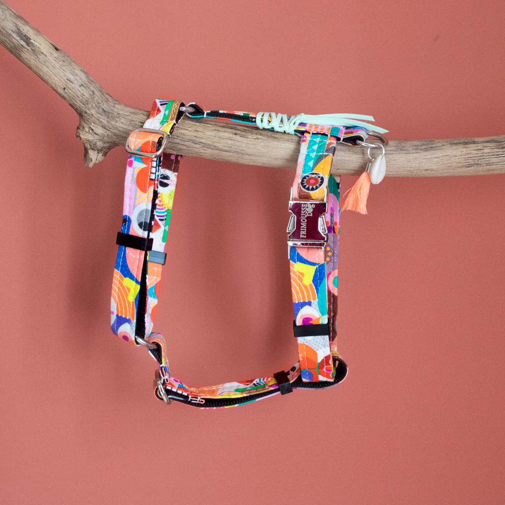 Harnais pour chien H réglable personnalisé Undy – FRIMOUSSE DOG